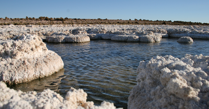 El Salar de Llamara, testigo del tiempo