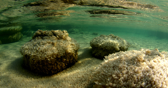 El Salar de Llamara, testigo del tiempo