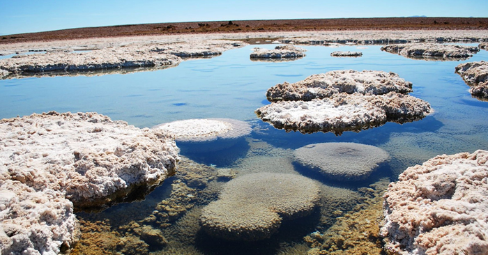 El Salar de Llamara, testigo del tiempo